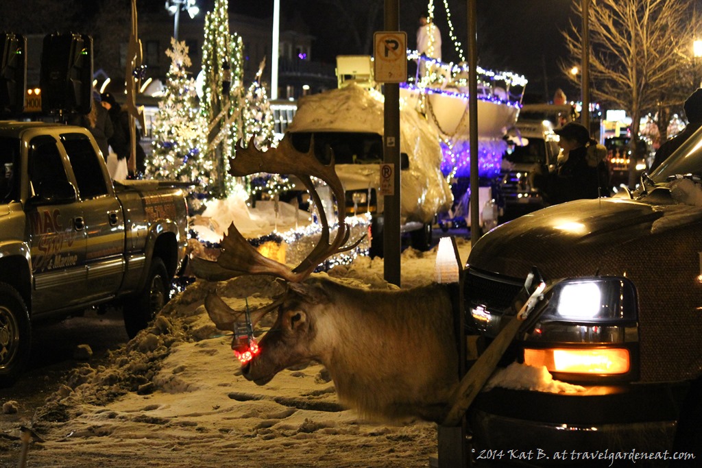 Christmas City of the North Parade – Travel. Garden. Eat.